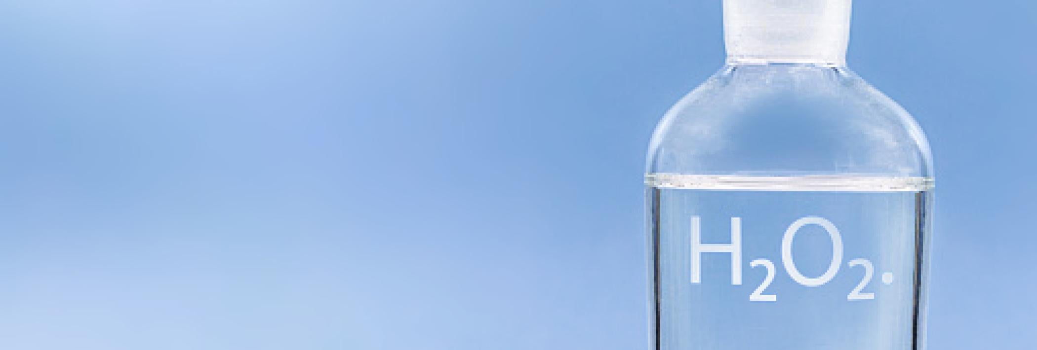 Revised Home 2025 | Environment, Health & Safety